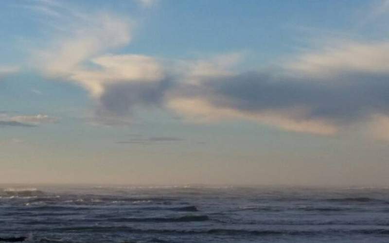 Motunau Beach Camp | Freedom/Basic Camp | New Zealand